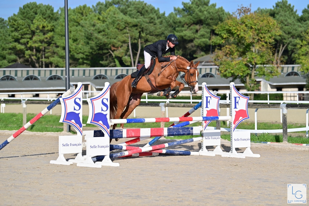 cheval de sport à vendre -LUPY DE TUS Mâle SFA Alezan-CANDY DE NANTUEL ...